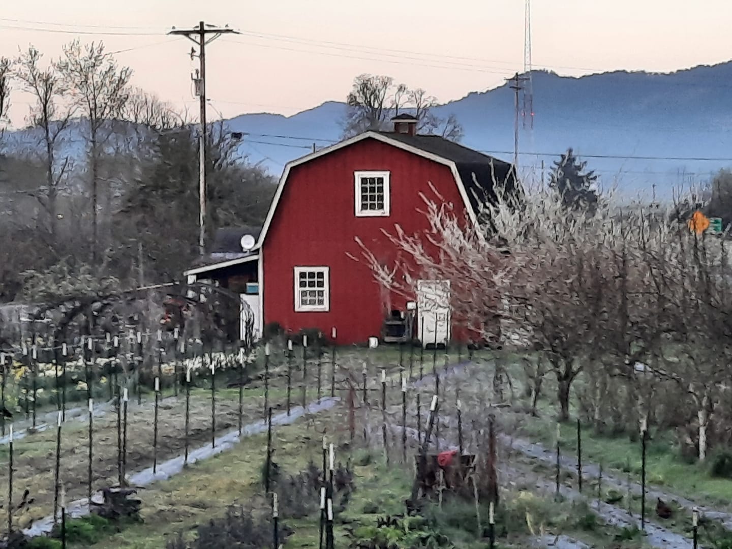april2021 barn – Copy – Midway Farms