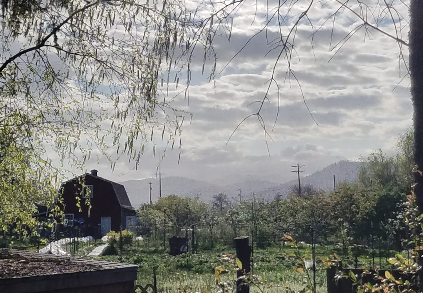 rainy day – Midway Farms