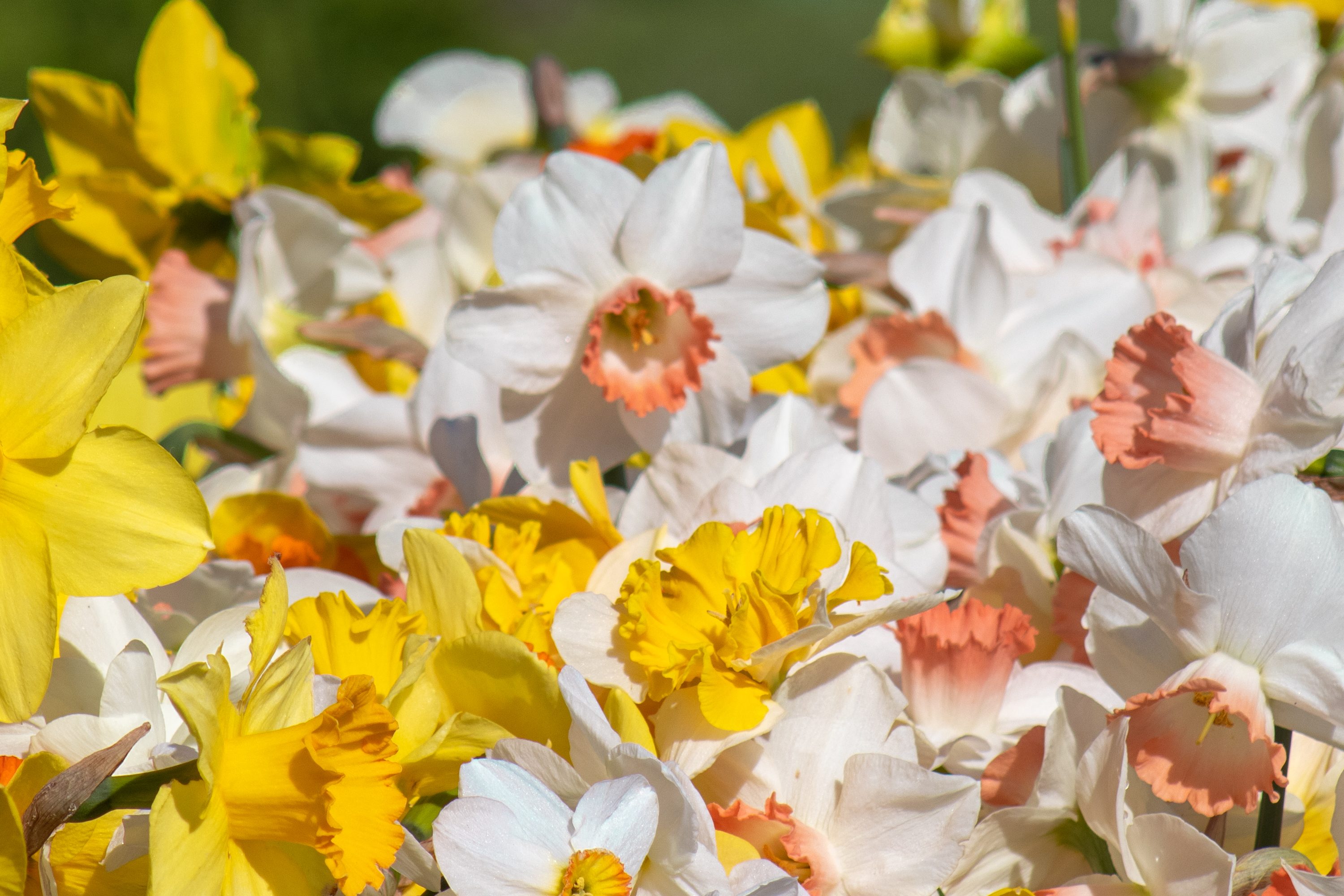 About – Midway Farms